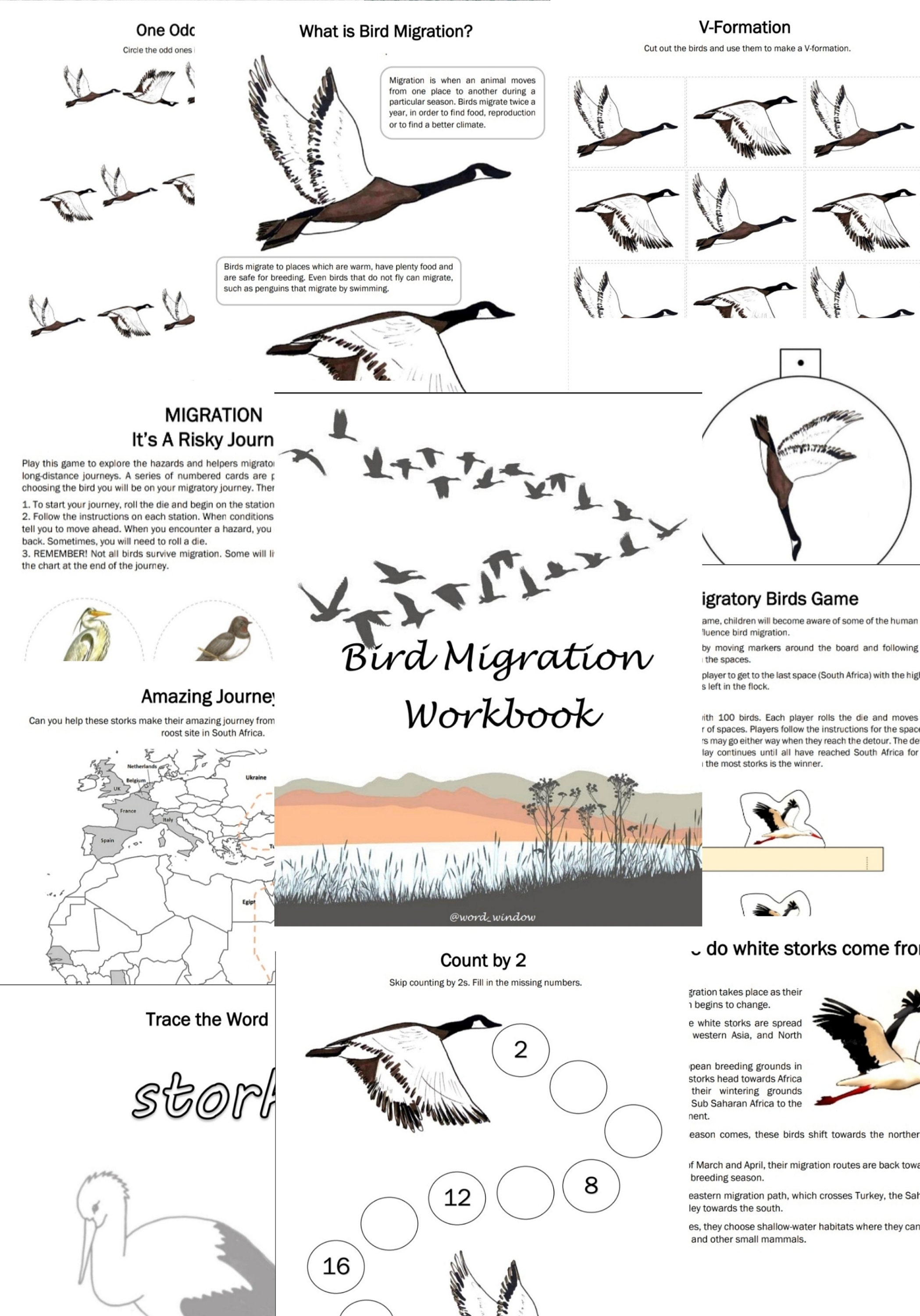 Bird Migration Workbook (unit Stydy, Nature Study, Learning Resourses ...