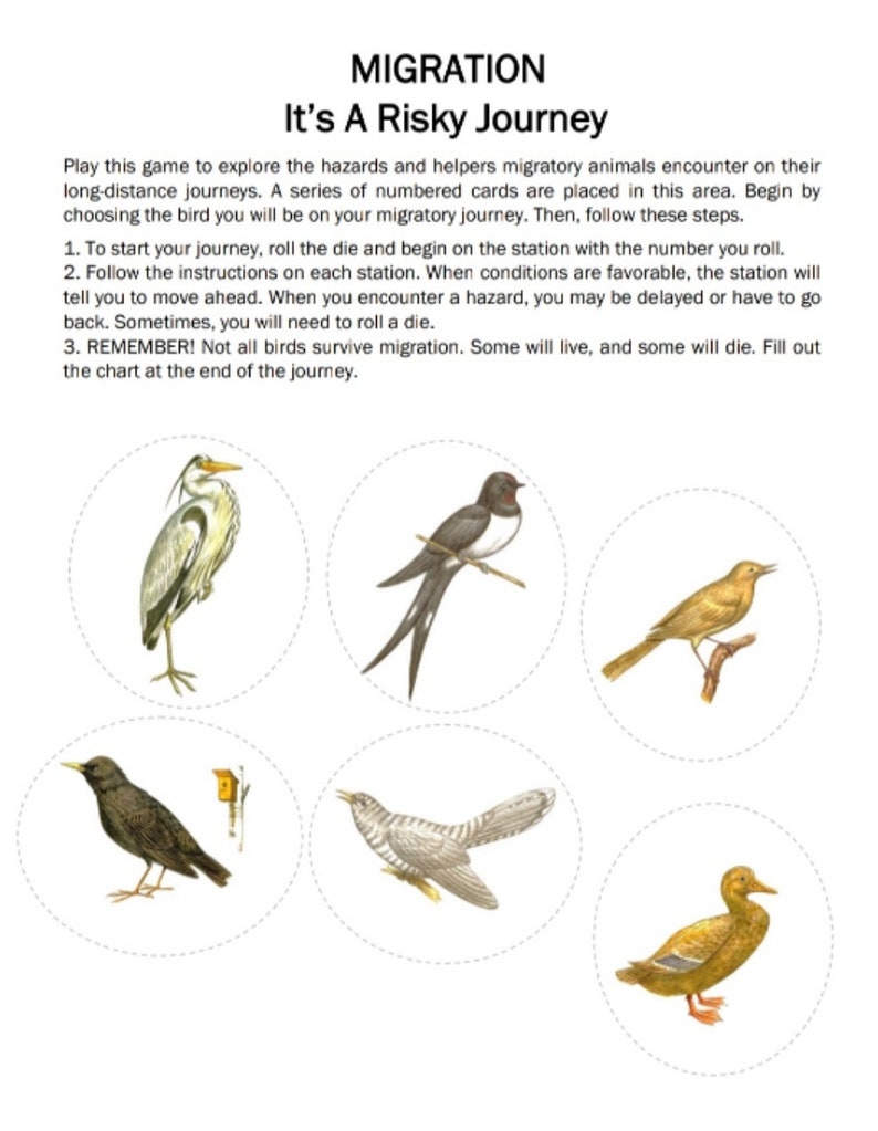 Bird Migration Workbook (unit Stydy, Nature Study, Learning Resourses ...