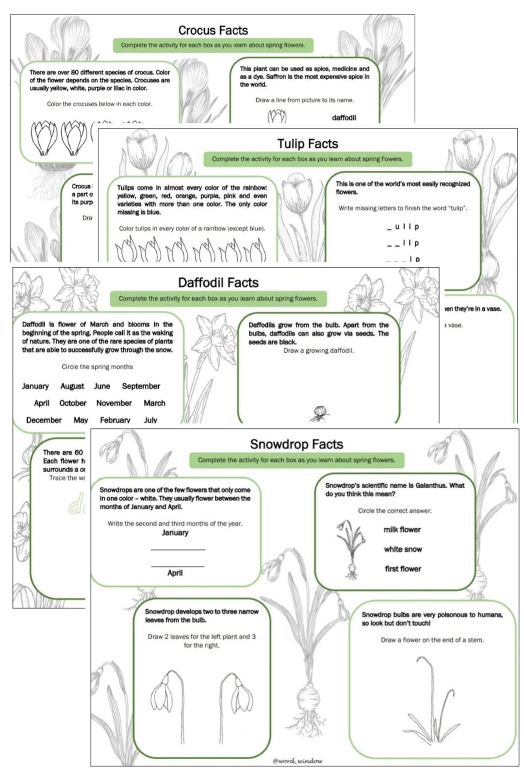 Spring Flowers Activity Pack (nature Study, Nature Activities, Learning ...