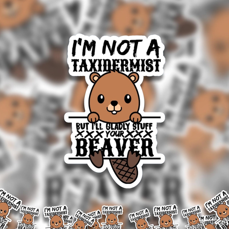 Explicit Cartoon Stickers - Etsy