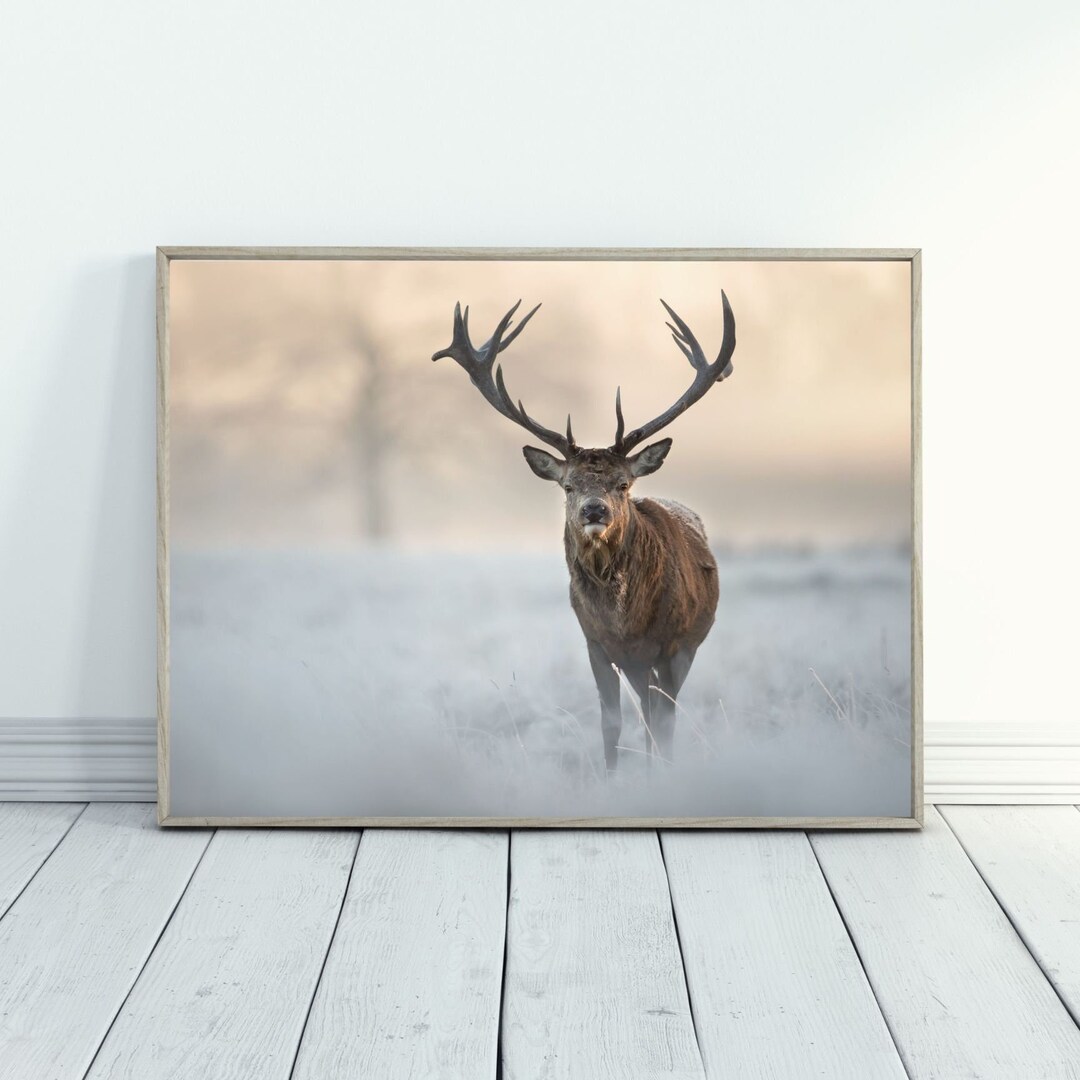 Snow Covered Buck | Christmas Prints | Xmas Printable Home Decor ...