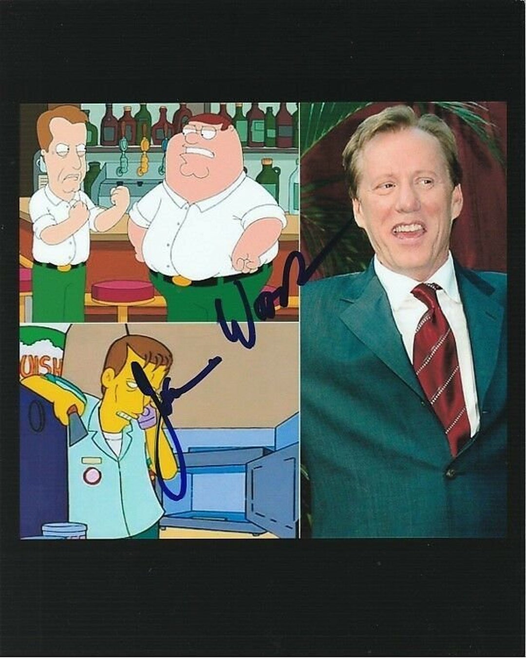 James Woods Signed Autographed 8x10 Family Guy & the Simpsons Collage Photograph - Etsy