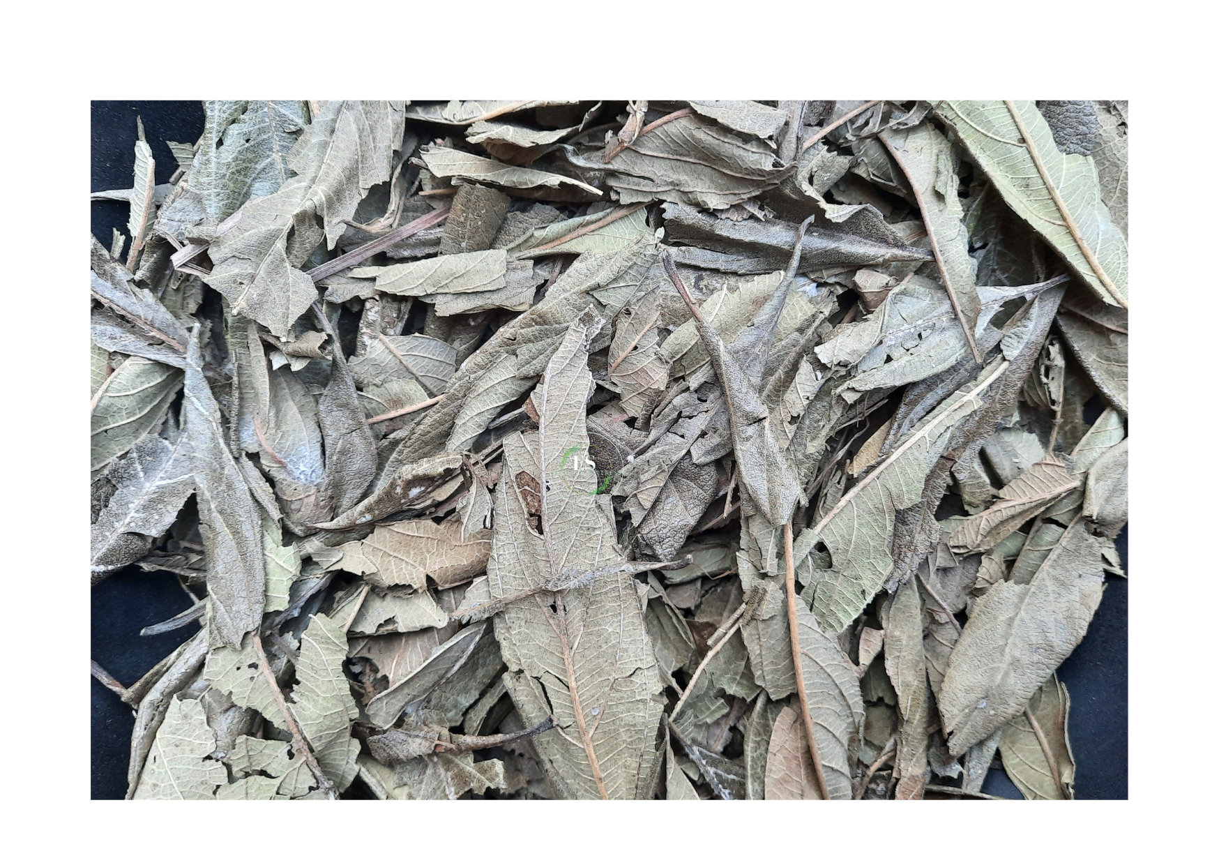 Bulukutu Tea: Savannah Lippia Multiflora Tea - Etsy