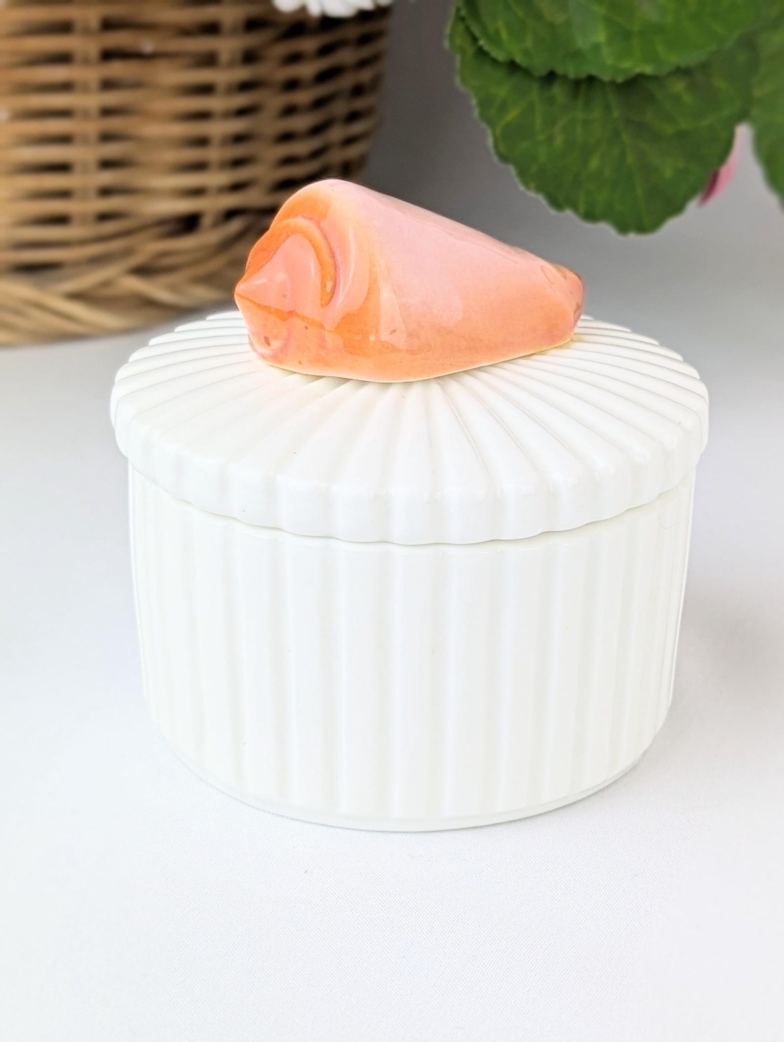 White Bone China Trinket Box With Peach Conch Shell Lid | Elegant ...