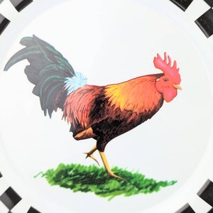 5 PC Melamine Rooster Dinnerware Set | Vintage Rooster Chicken Plates ...