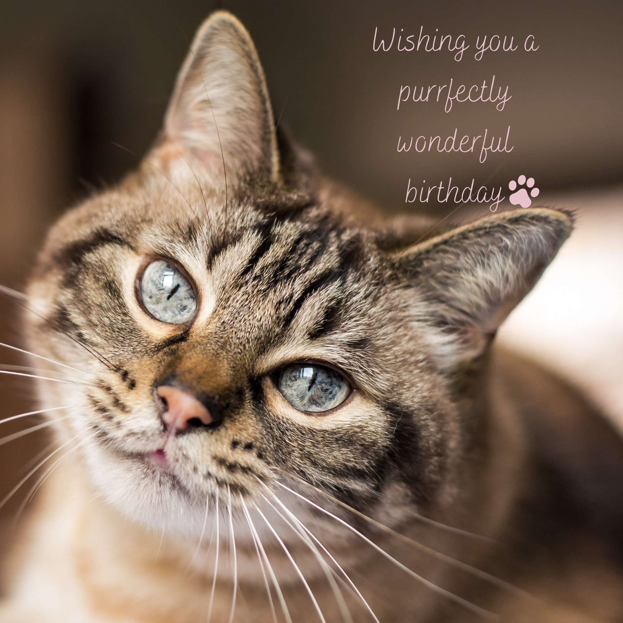 Happy Birthday Digital Card Happy Birthday Animated Card Happy Birthday ...