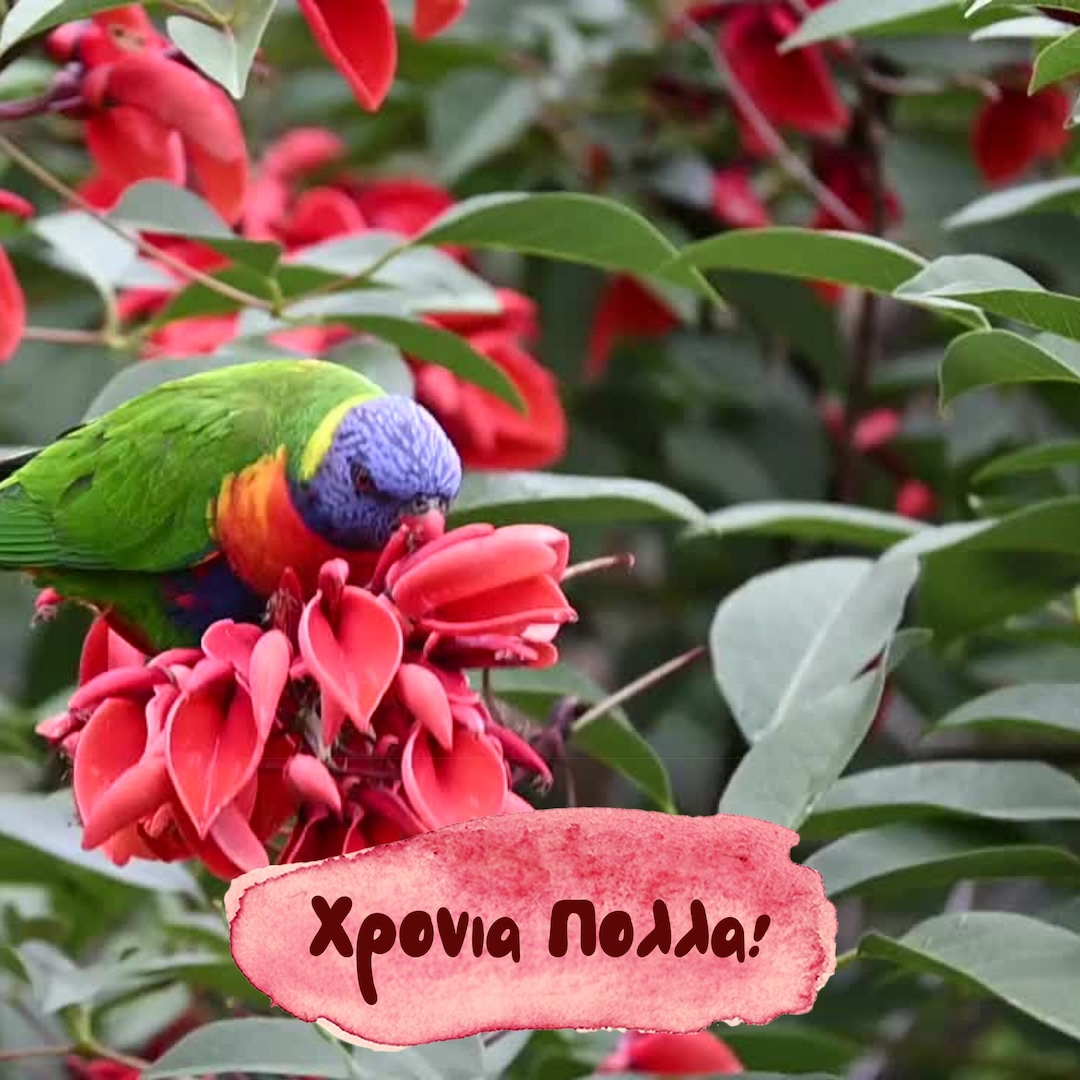 Greek Hronia Polla Digital Card Happy Name Day Digital Card Greek ...