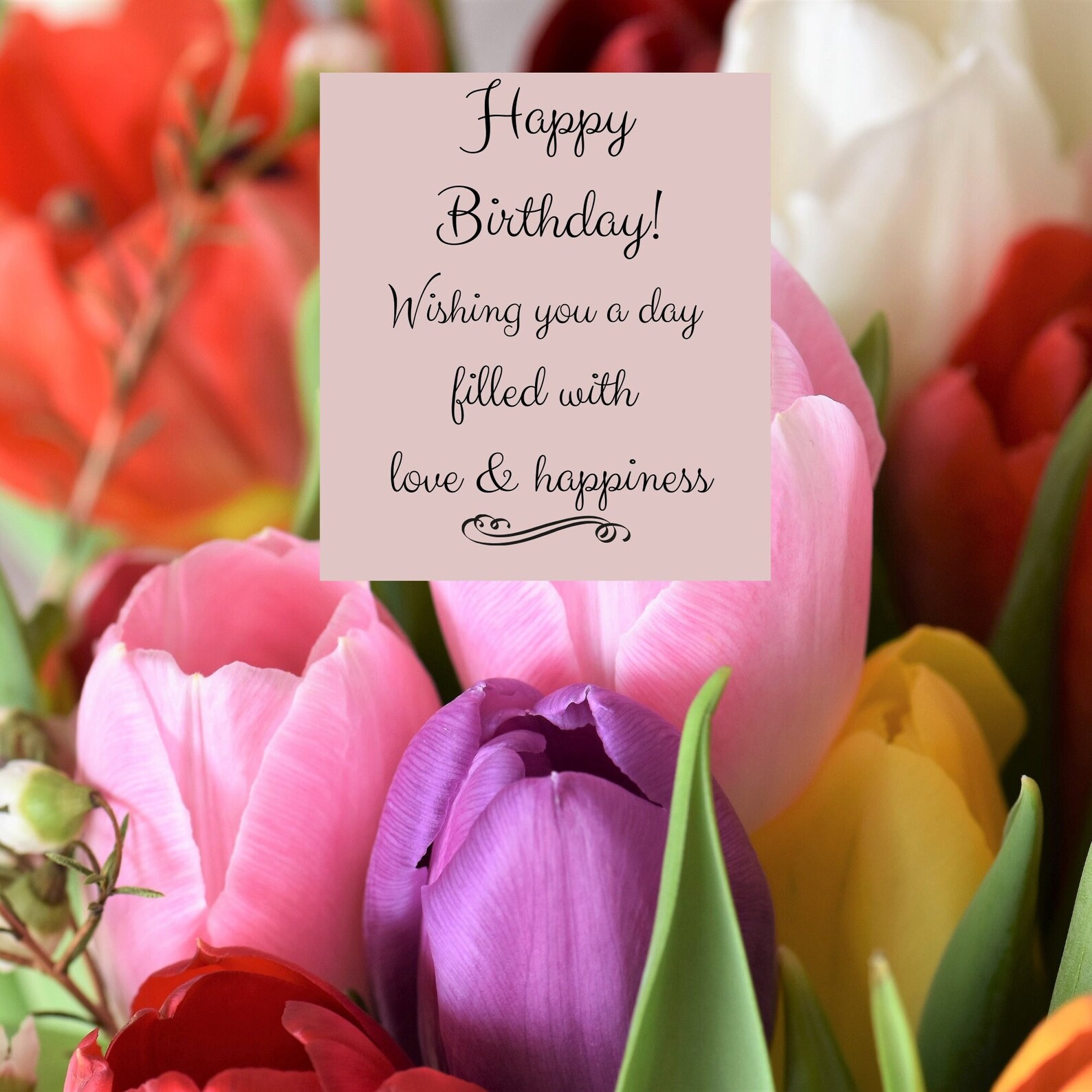 Happy Birthday Digital Card Happy Birthday Card Animated Card Waste