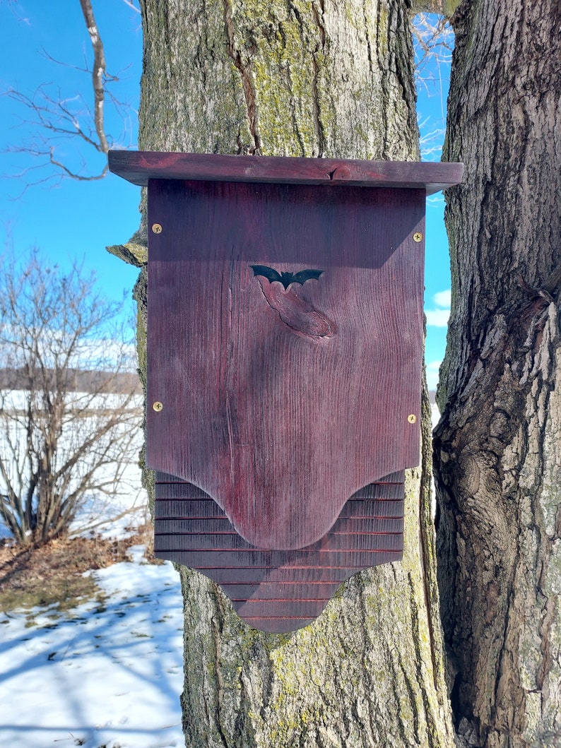 Large Bat Box-bat House-burned Finish- Burgundy Red - Etsy