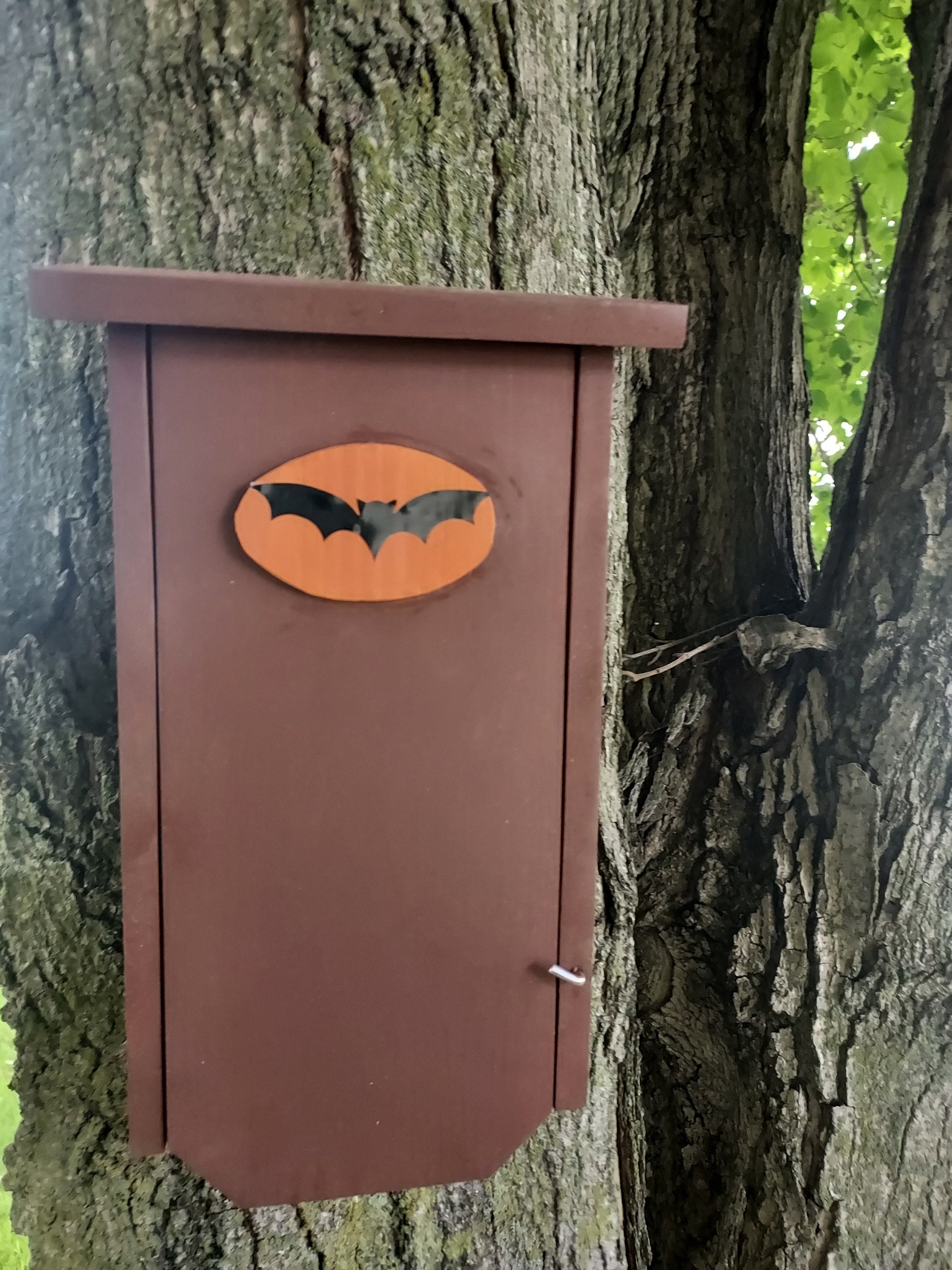 Bat House- Cedar Dual Chamber Finished - Etsy