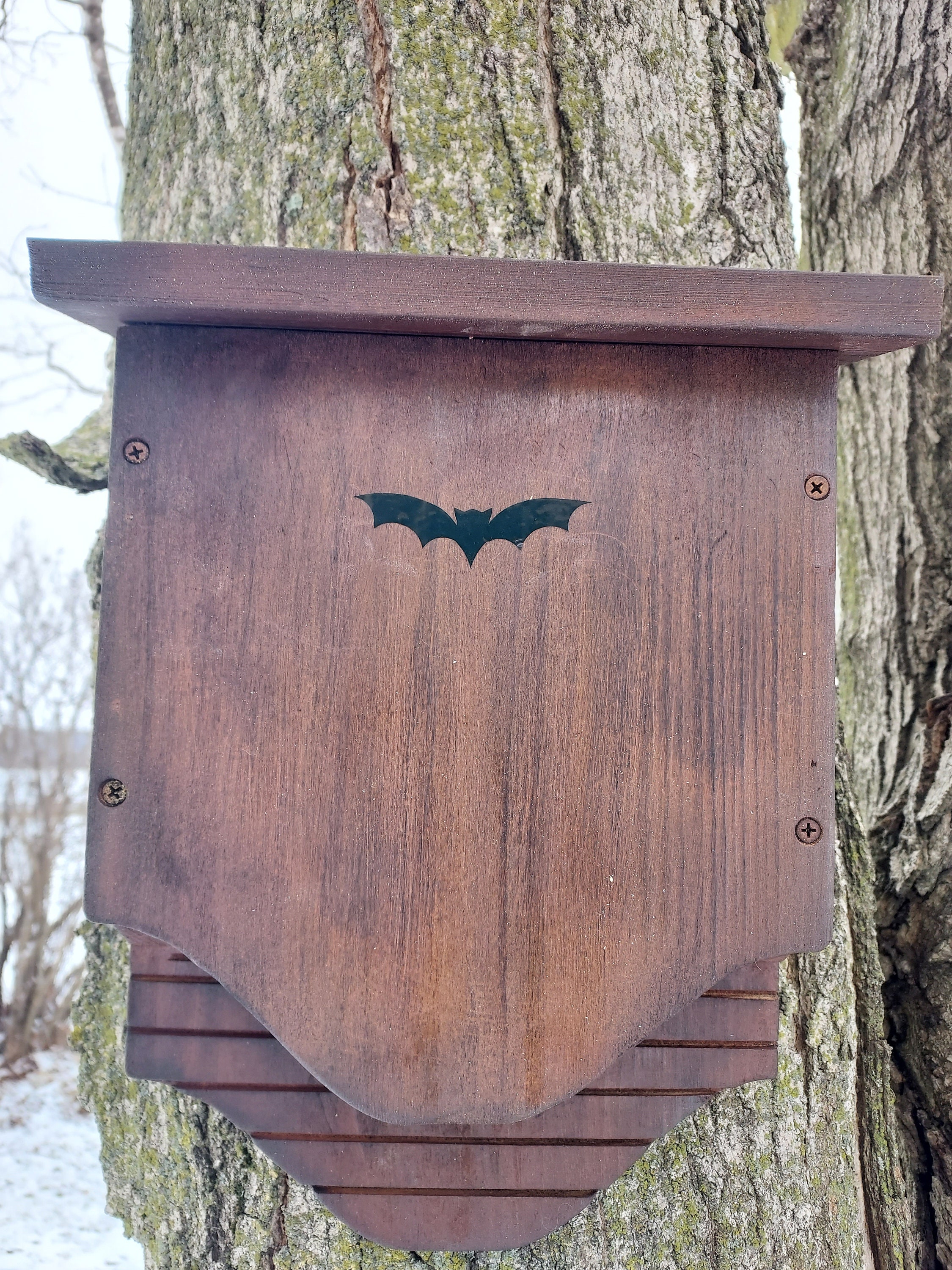 Bat Box, Bat House- Burned Wood Finish - Etsy