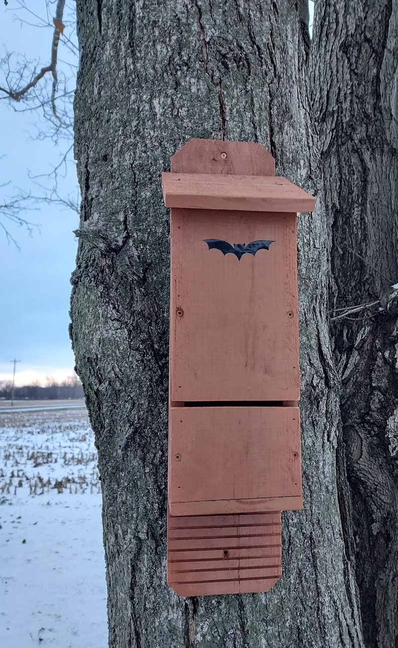 Bat House- Cedar Dual Chamber- Handmade- Finished - Etsy
