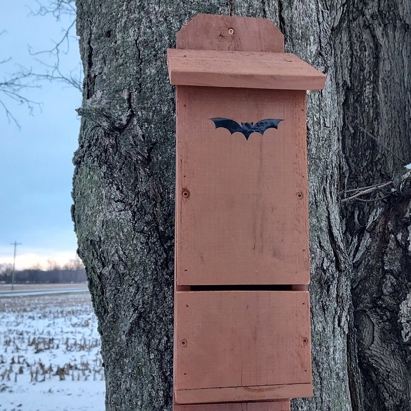 Bat House for Outdoors - Etsy