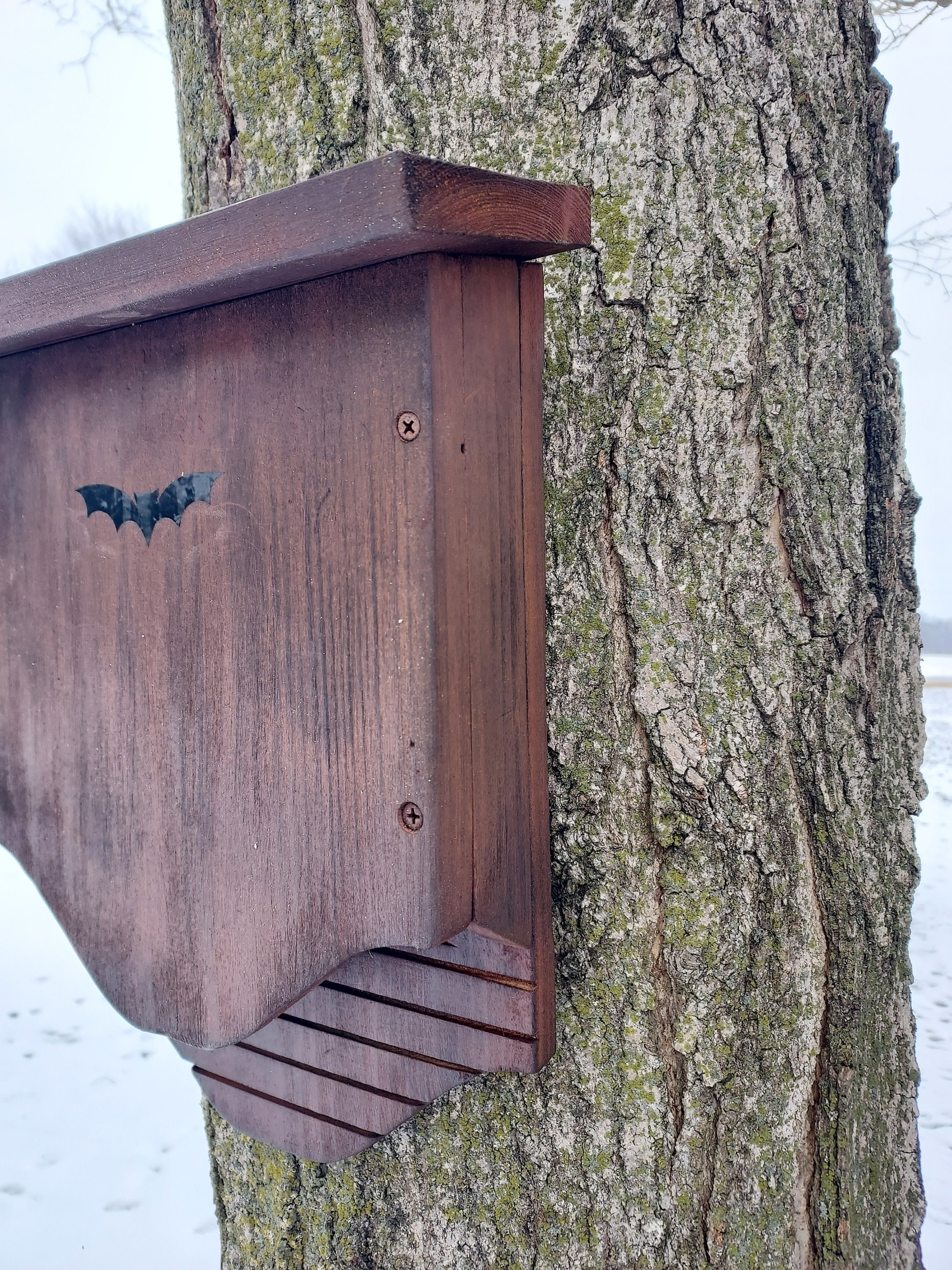 Bat Box, Bat House- Burned Wood Finish - Etsy