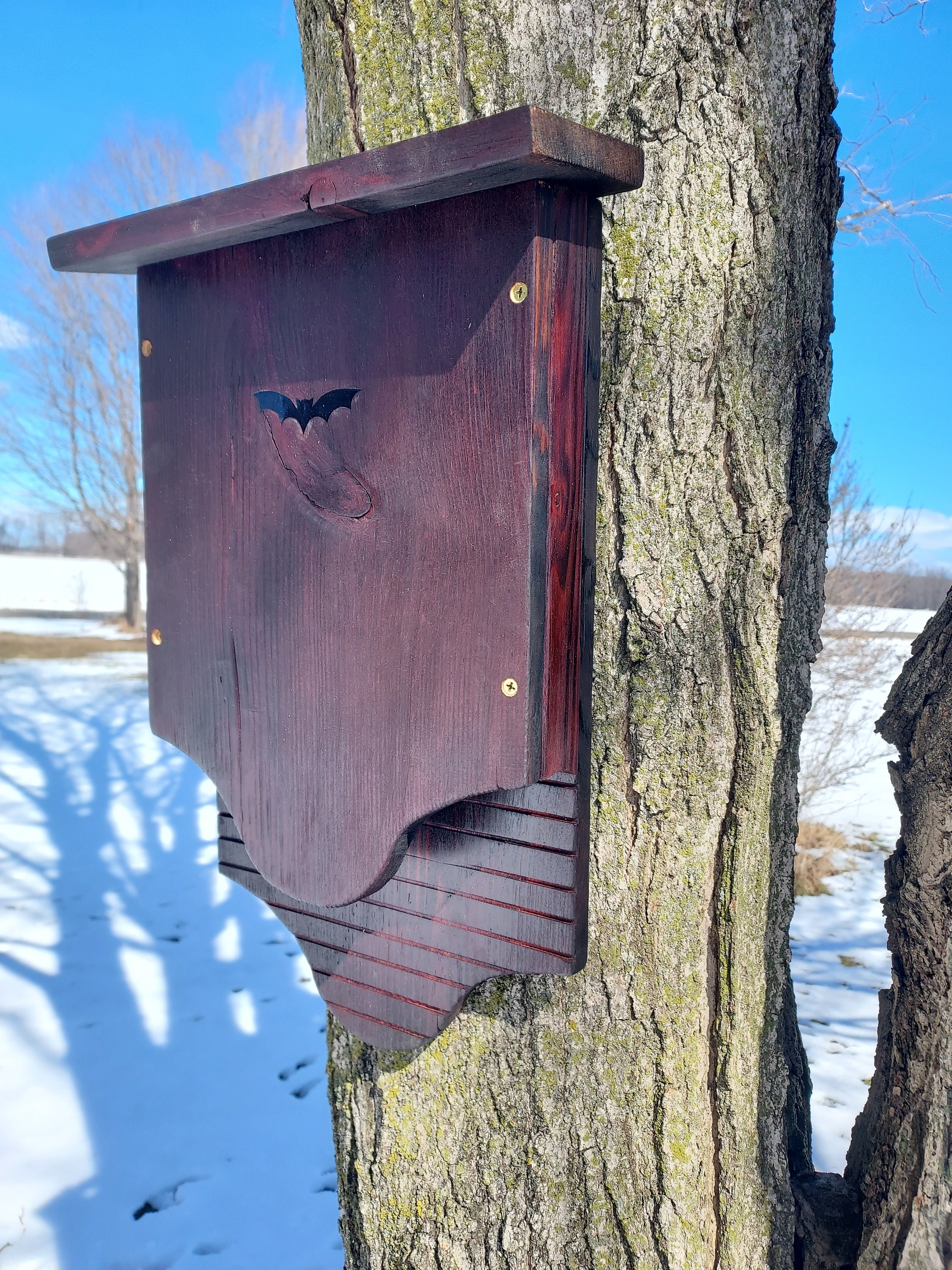 Large Bat Box-bat House-burned Finish- Burgundy Red - Etsy