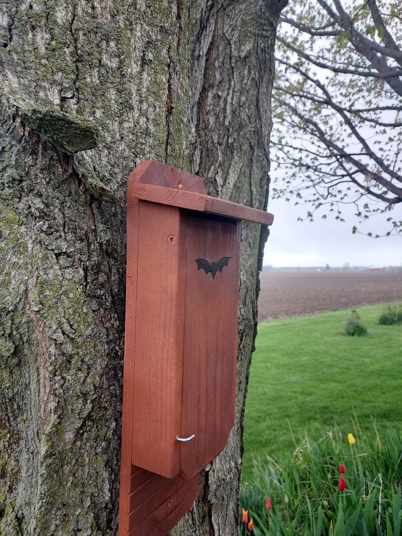 Bat Box -bat House- Smaller Cedar Single Chamber - Handmade- Texted ...