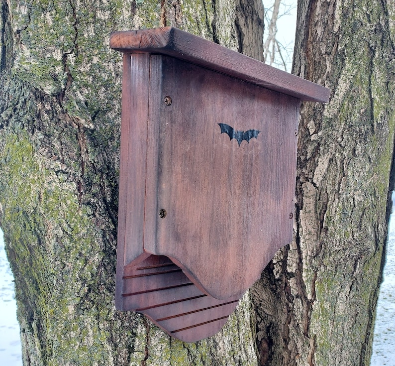 Bat Box, Bat House- Burned Wood Finish - Etsy