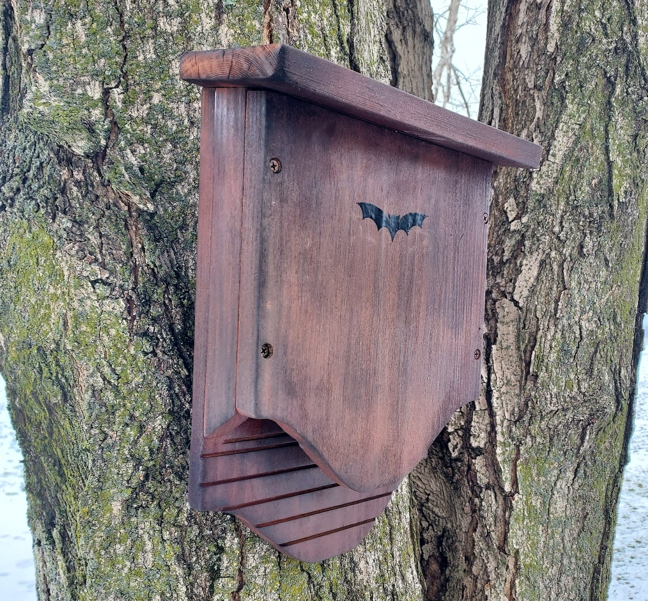 Bat Box, Bat House- Burned Wood Finish - Etsy