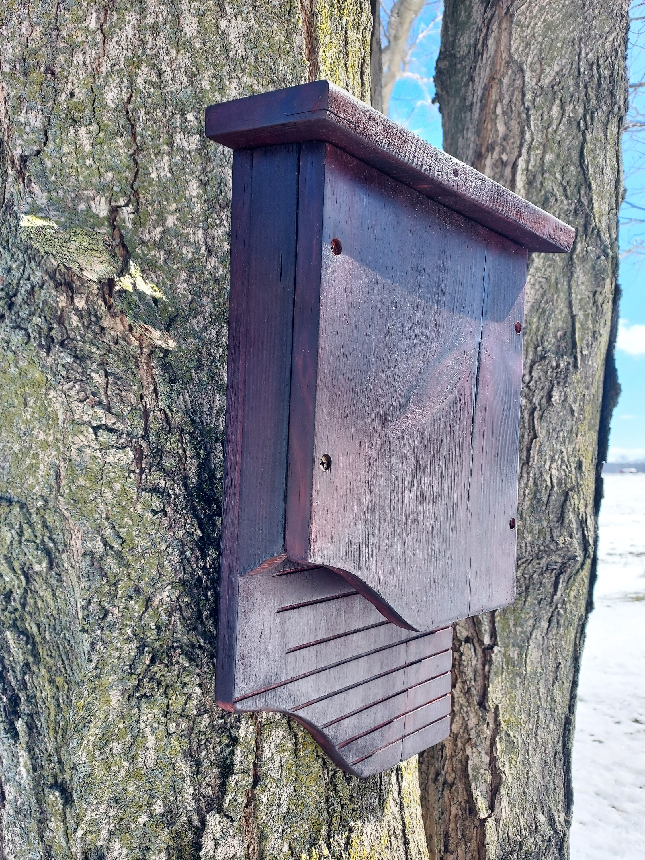 Large Bat Box-bat House-burned Finish- Burgundy Red - Etsy