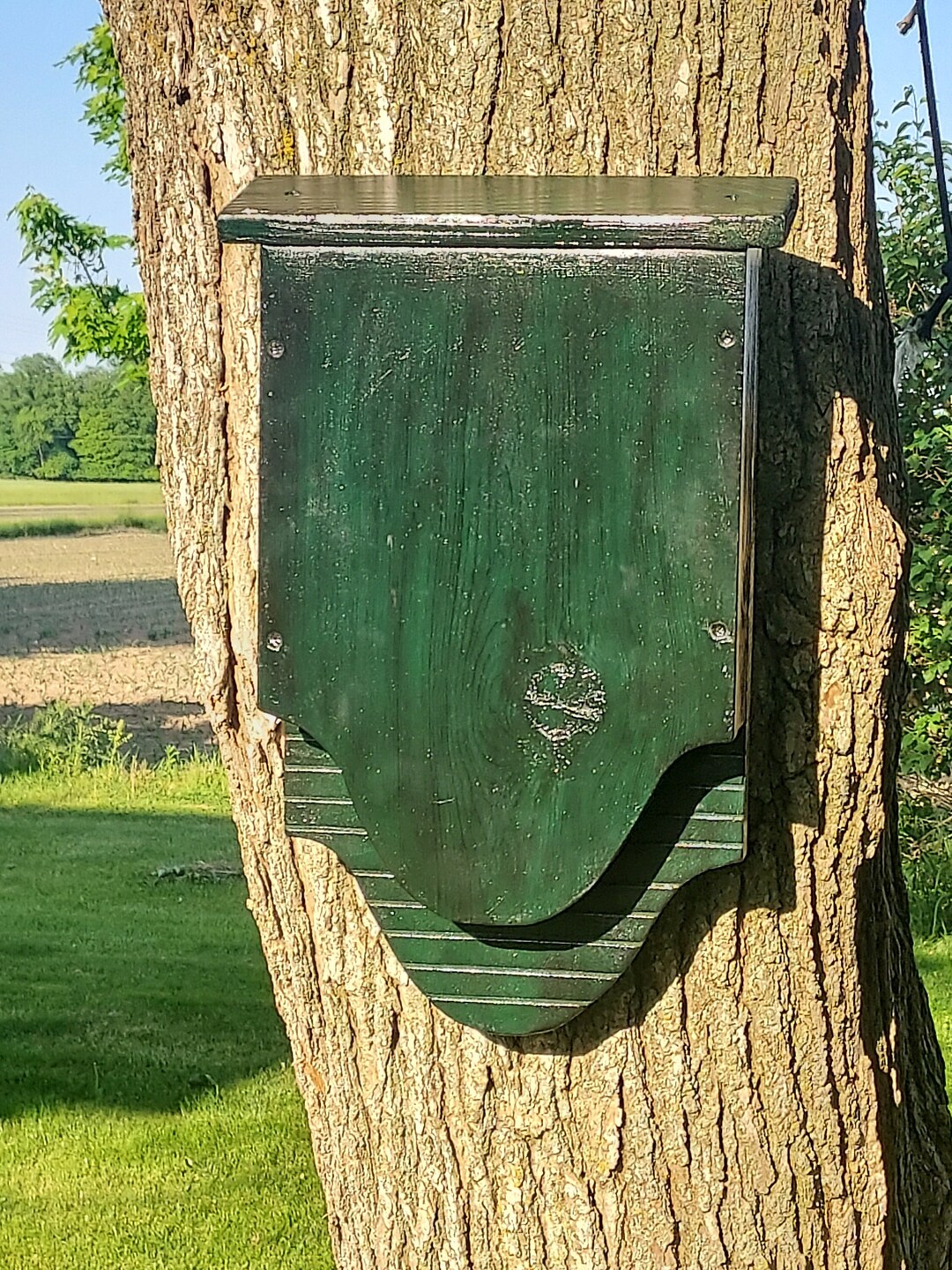 Large Bat Box Bat House Burned Finish Dark Green - Etsy