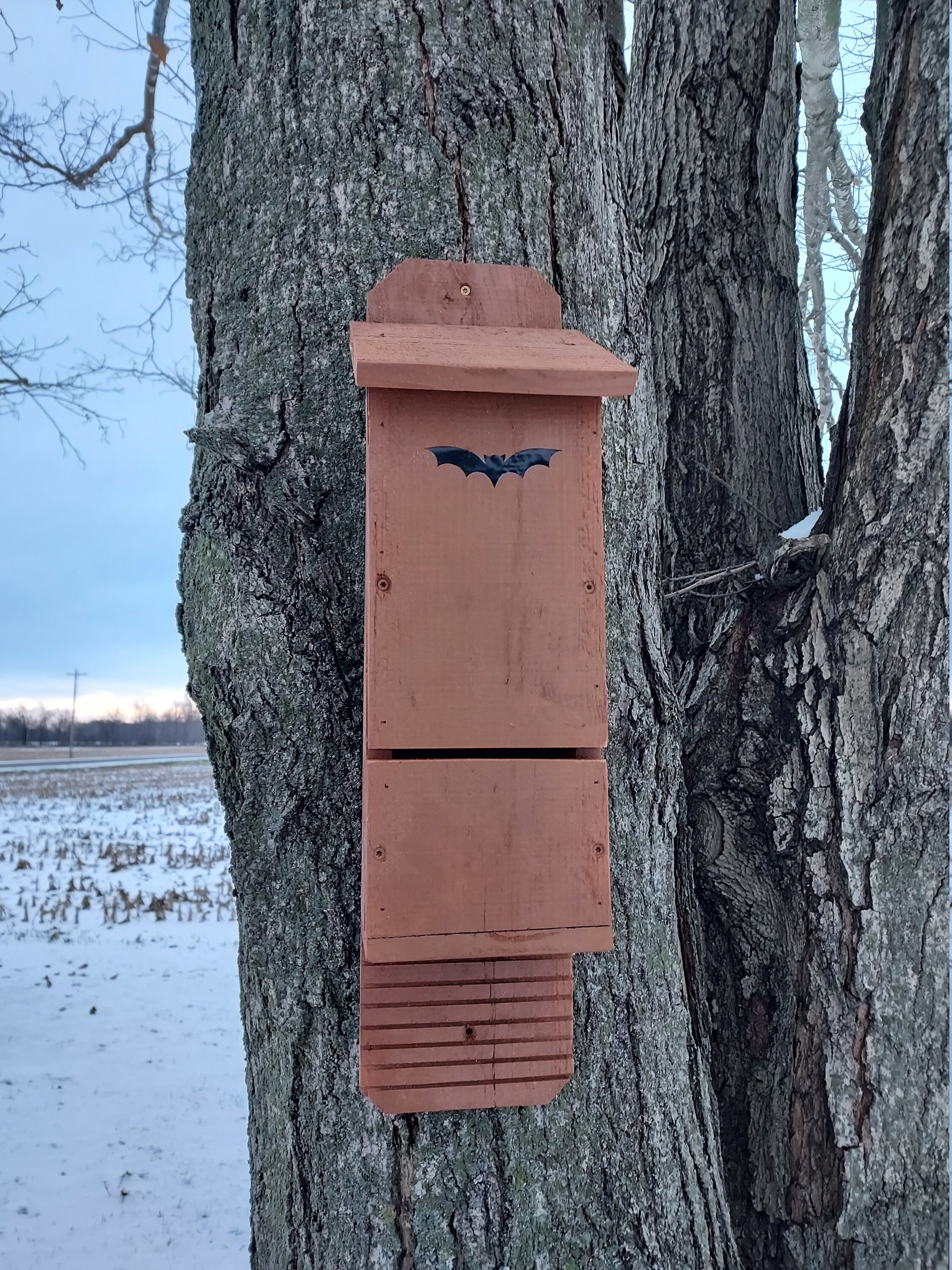 Bat House Cedar Dual Chamber Handmade Finished | Etsy