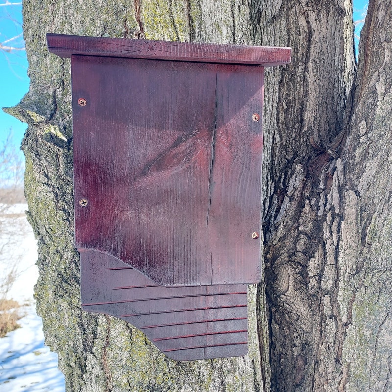 Bat House for Outdoors - Etsy