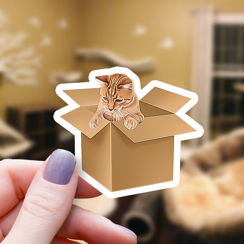 Utterly Cute and Fun Tabby Cat Inside Box Sticker | Cute Cat Decal ...