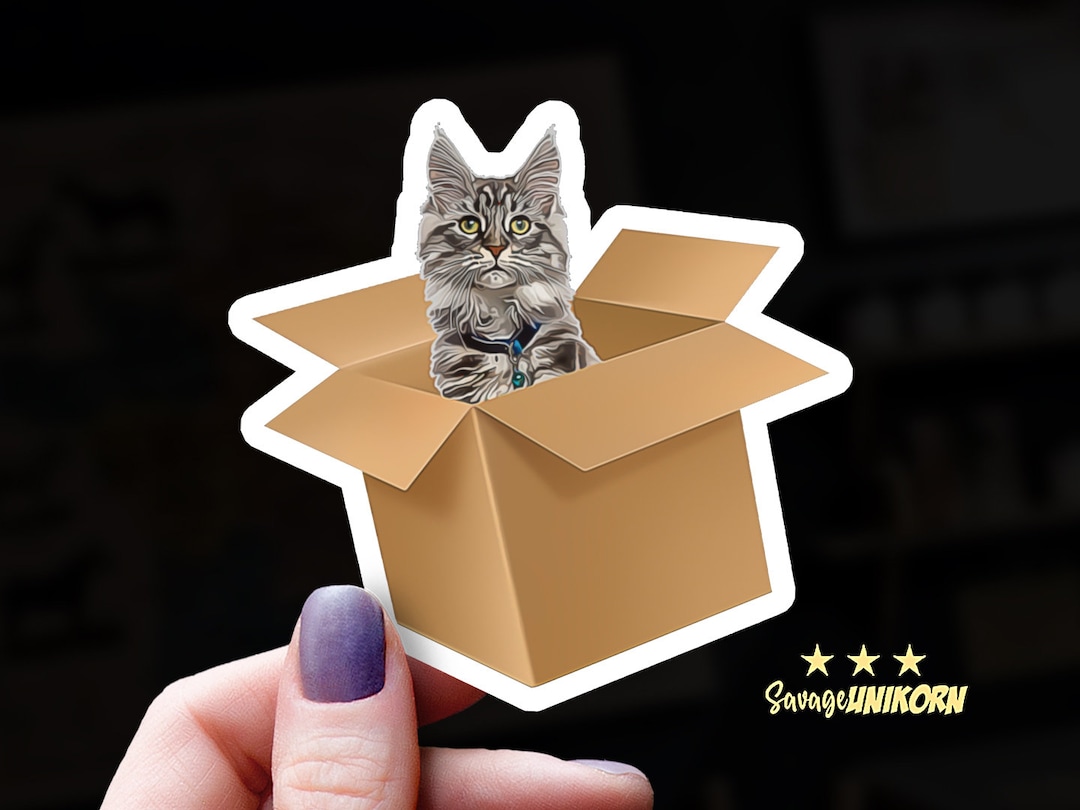 So Fun and Cute Tiger Cat in a Box Sticker | Cat Decal | Feline Animal ...