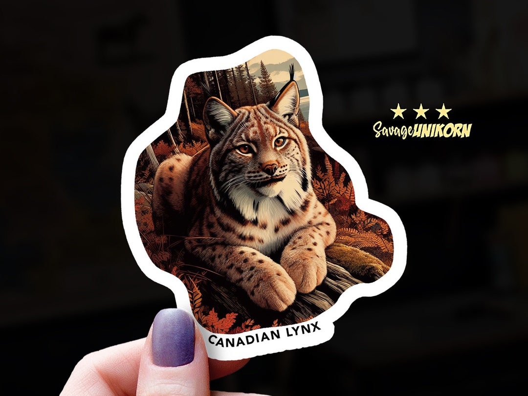 Canadian Lynx Sticker, Wildlife Decal, Nature Lover Gift, Animal Lover ...