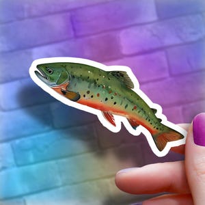 Brook Trout Sticker | Fish Decal | Outdoor Adventure Décor | Fishing ...