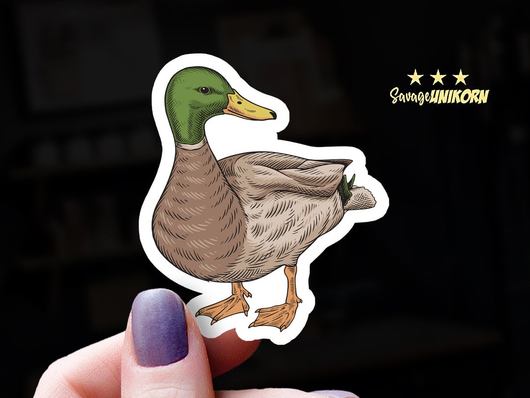 Mallard Sticker | Dabbling Duck Decal | Nature Inspired Wild Duck ...