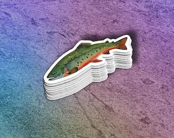 Brook Trout Sticker | Fish Decal | Outdoor Adventure Décor | Fishing ...