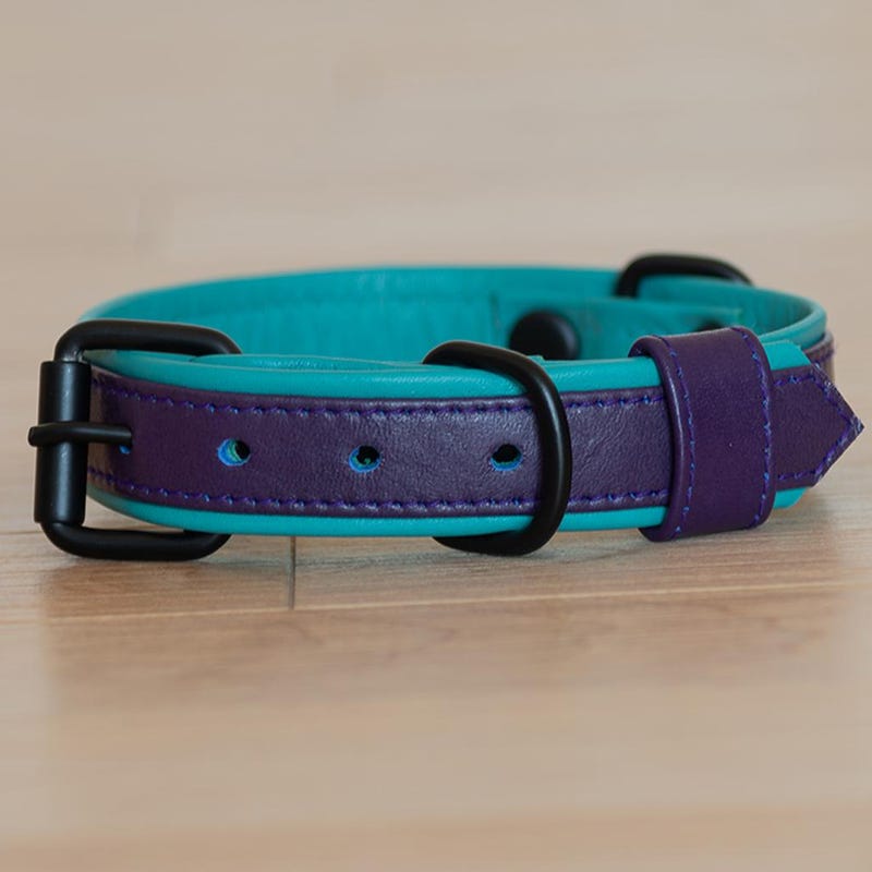 Purple Dog Collar - Etsy