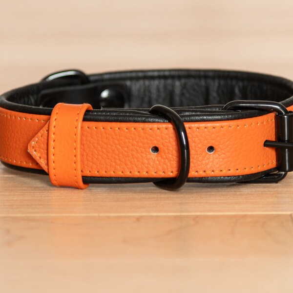 Orange Dog Collar - Etsy