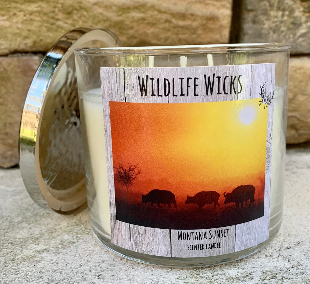 Montana Candle | 3 Wick Earthy Candle | Floral + Musky Scented Soy Wax ...