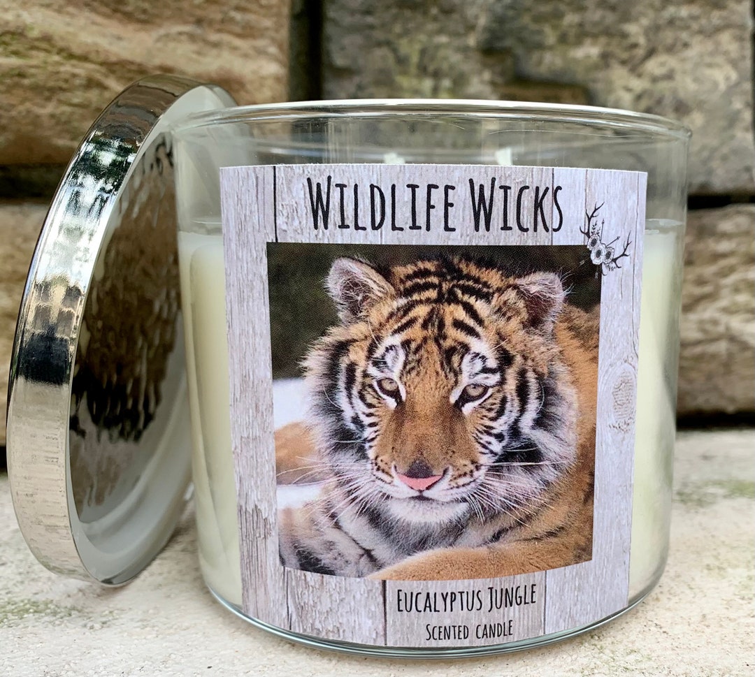 Tiger Candle, Wildlife Conservation Candle | Eucalyptus Mint Scented ...