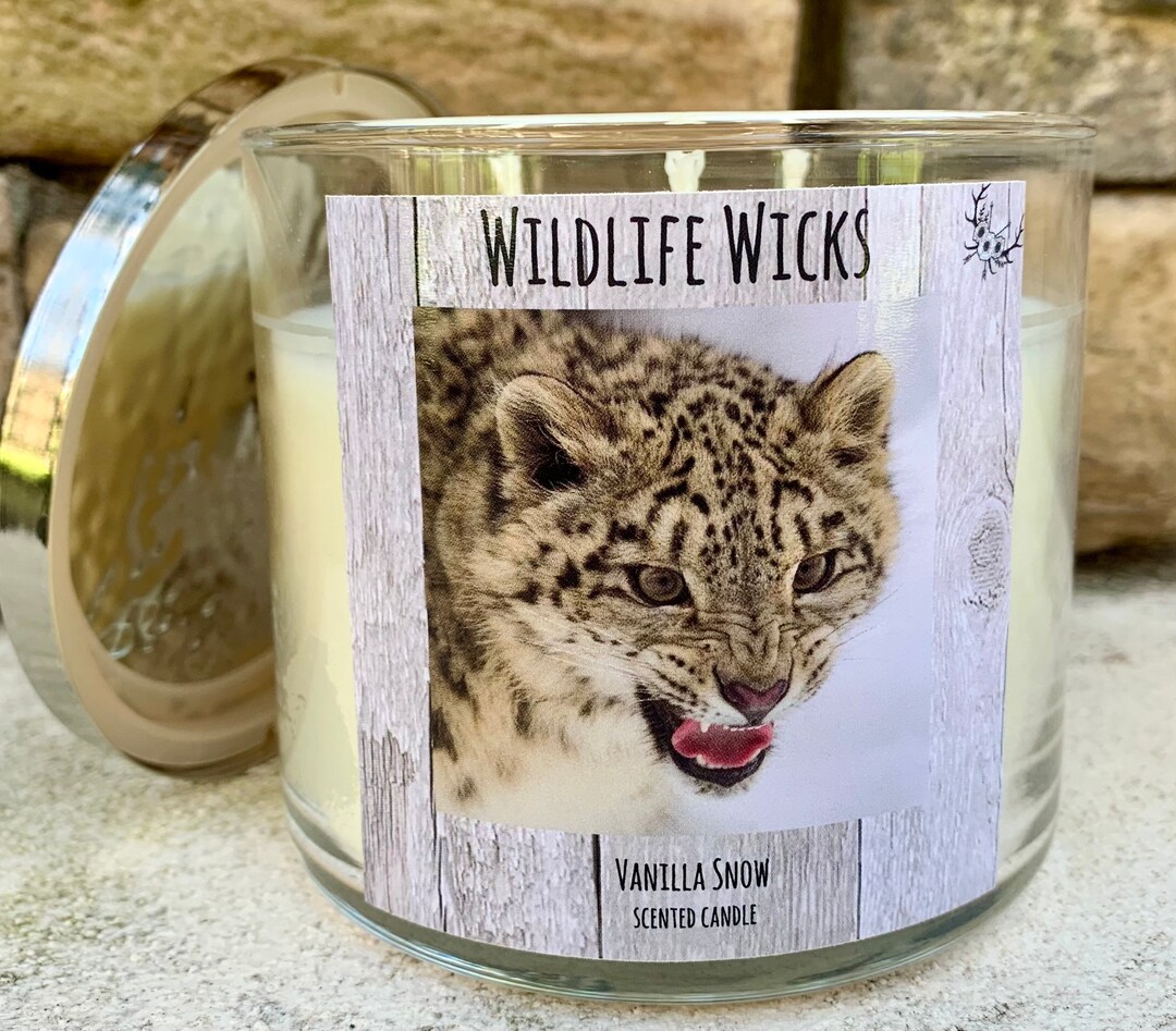 Snow Leopard Candle, Wildlife Conservation Candle | Smoky Vanilla ...