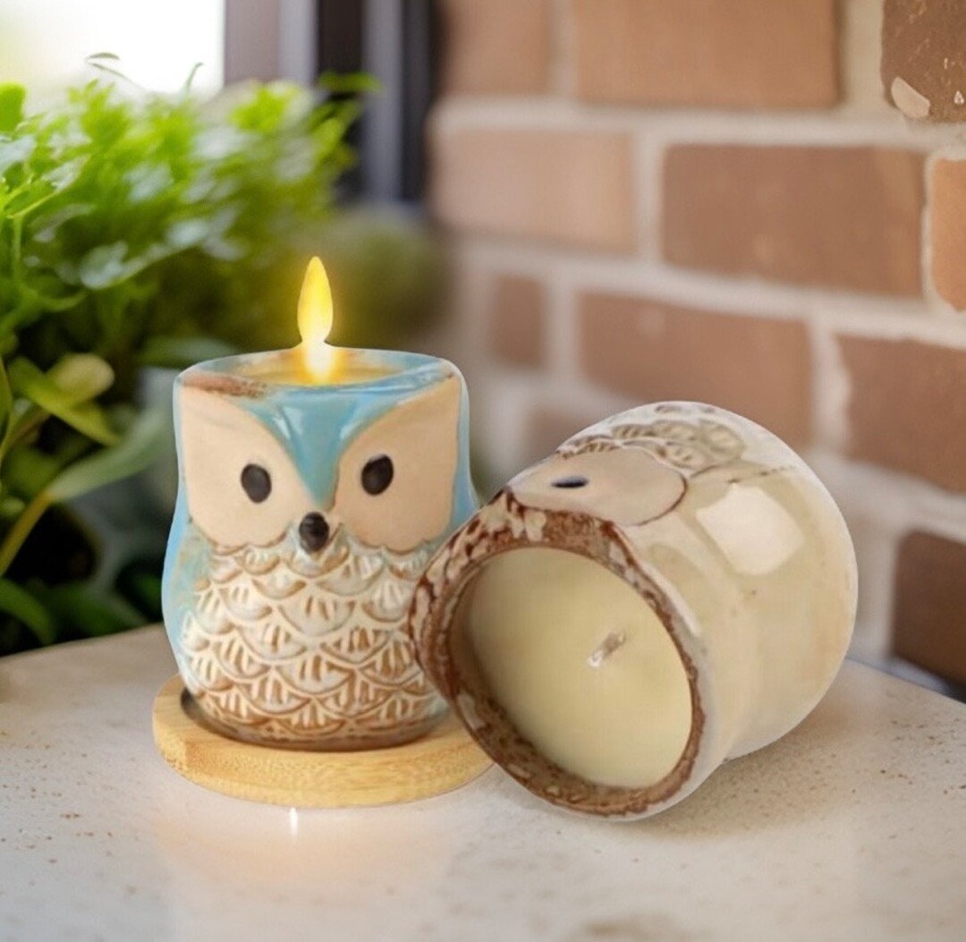 Owl Candles, Mini Ceramic Owl Decor | Natural Soy Wax Candles, Office ...