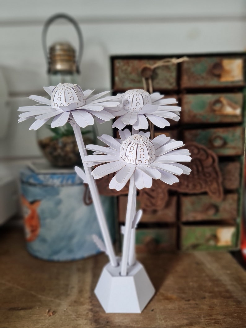 Pop Out Paper Flower Sculptures - Etsy
