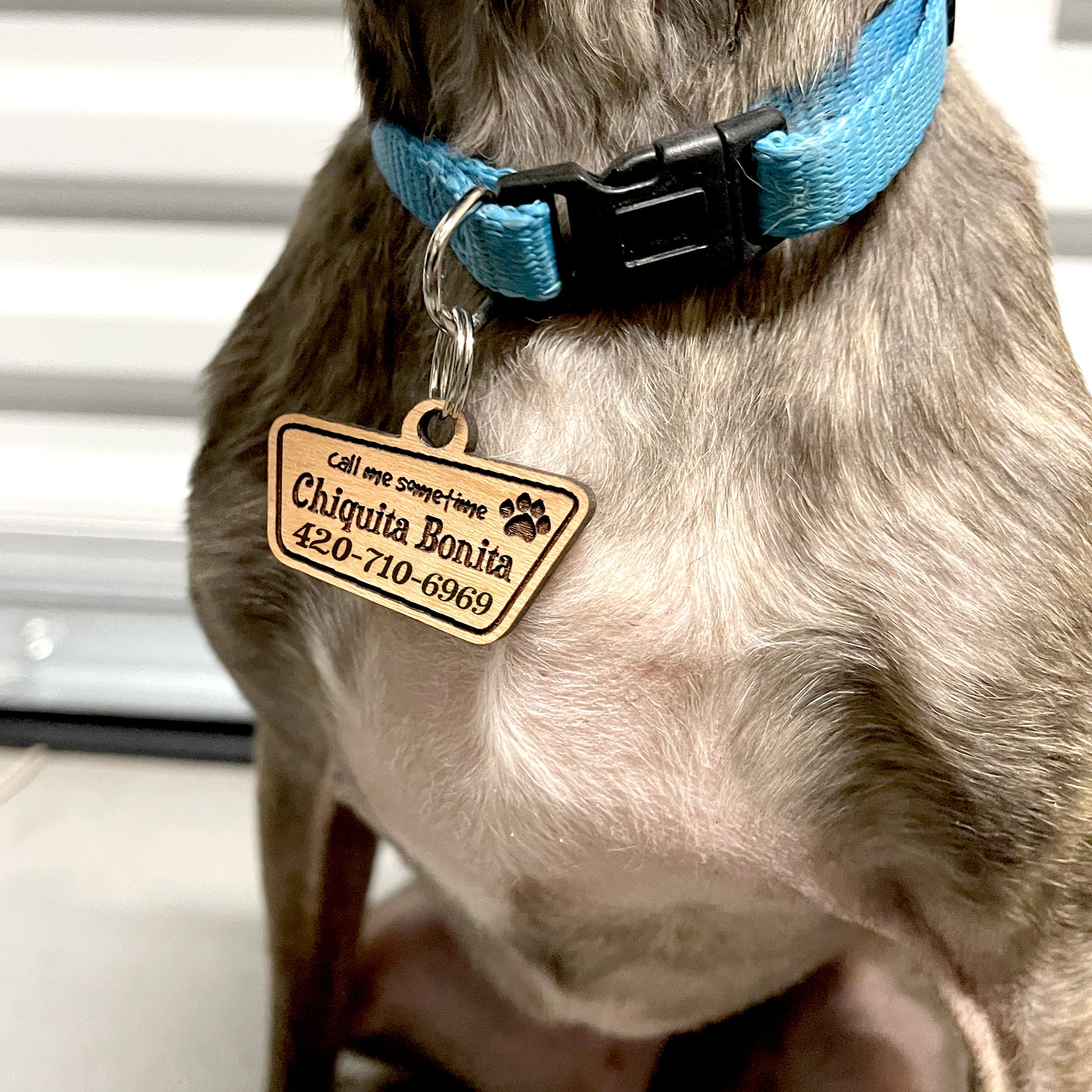 Pet Name Tag Shapes Cat or Dog Shapes Laser Engrave Files - Etsy