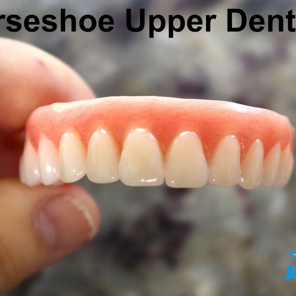 Horseshoe Upper Dentures - Etsy