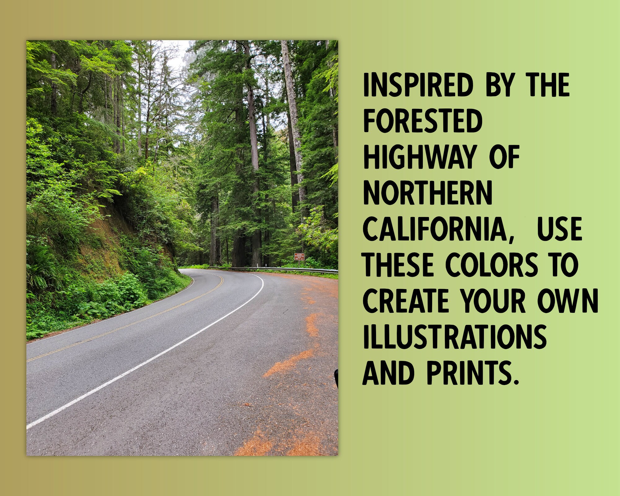 Drawing & Illustration Digital Handpicked Color Swatches Affinity ...