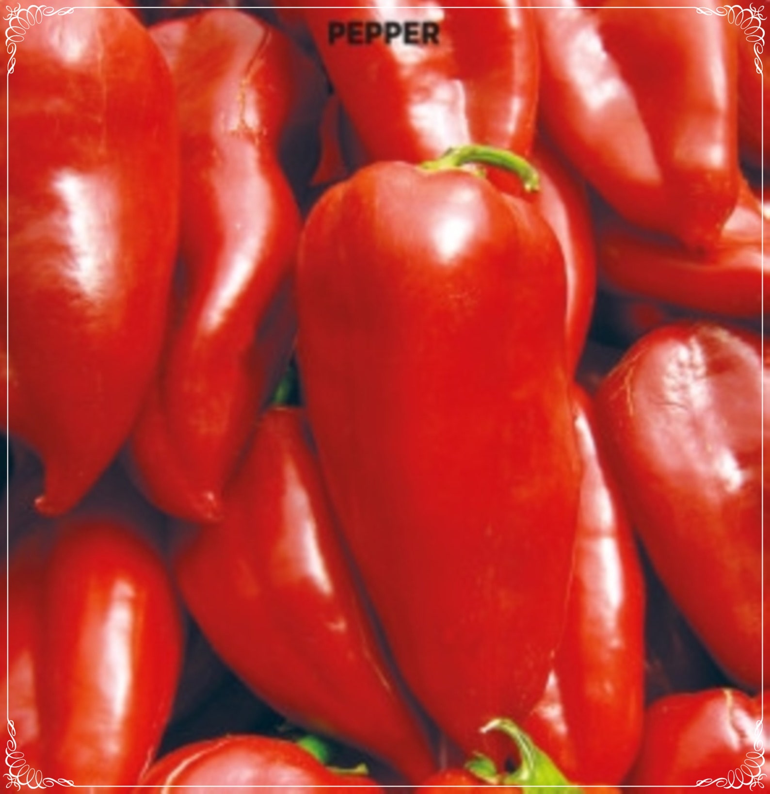 100 Seeds Giant Marconi Pepper Seed, Italian Grilling Red Pepper for ...