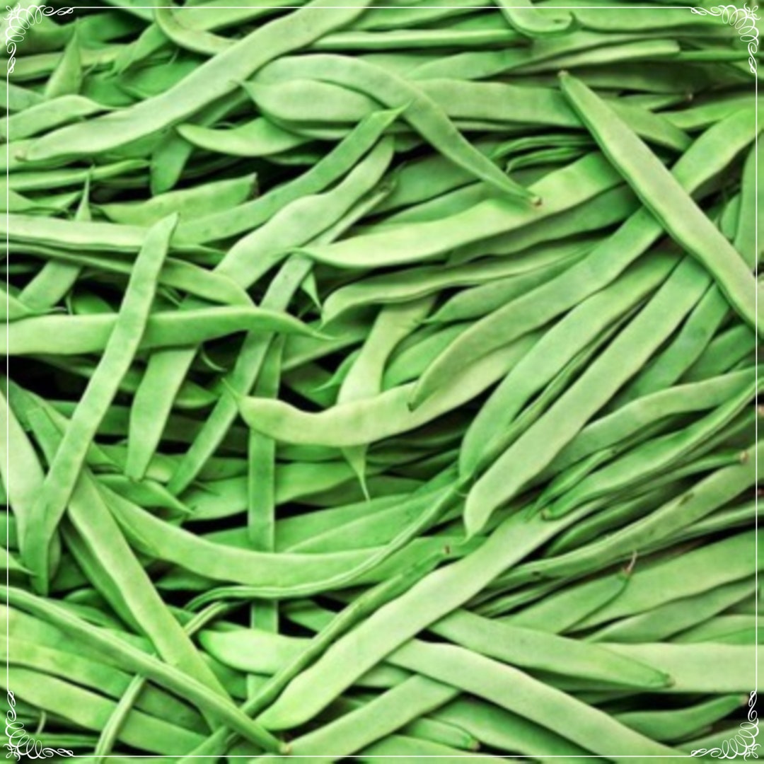 20 Semillas Pole Helda Boneless Bean Seed, Natural, Sin OGM, Heirloom ...