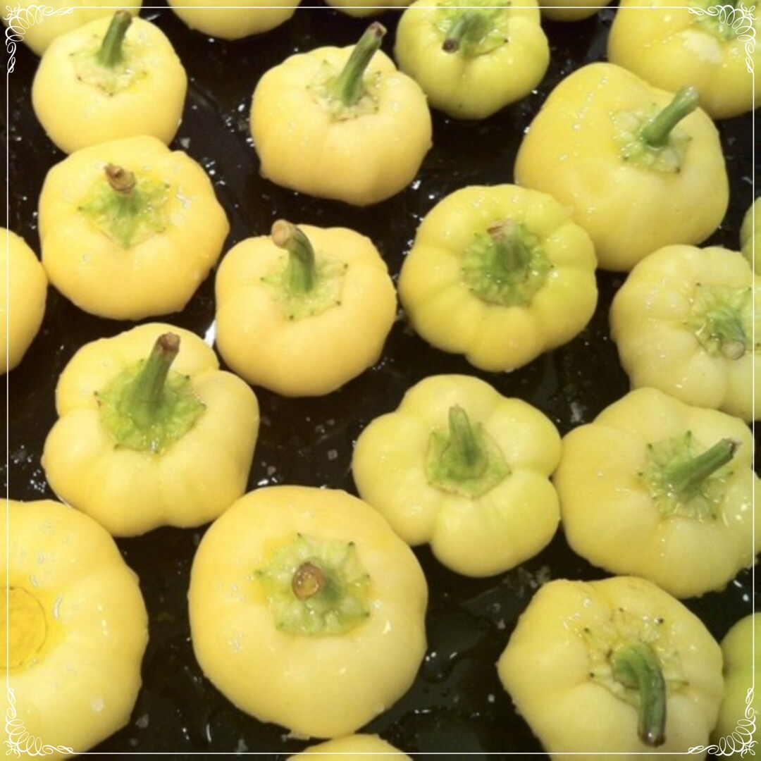 100 Seeds Pickle Chubby Fat Hot Pepper Seed, Bitter Marbles Chili ...