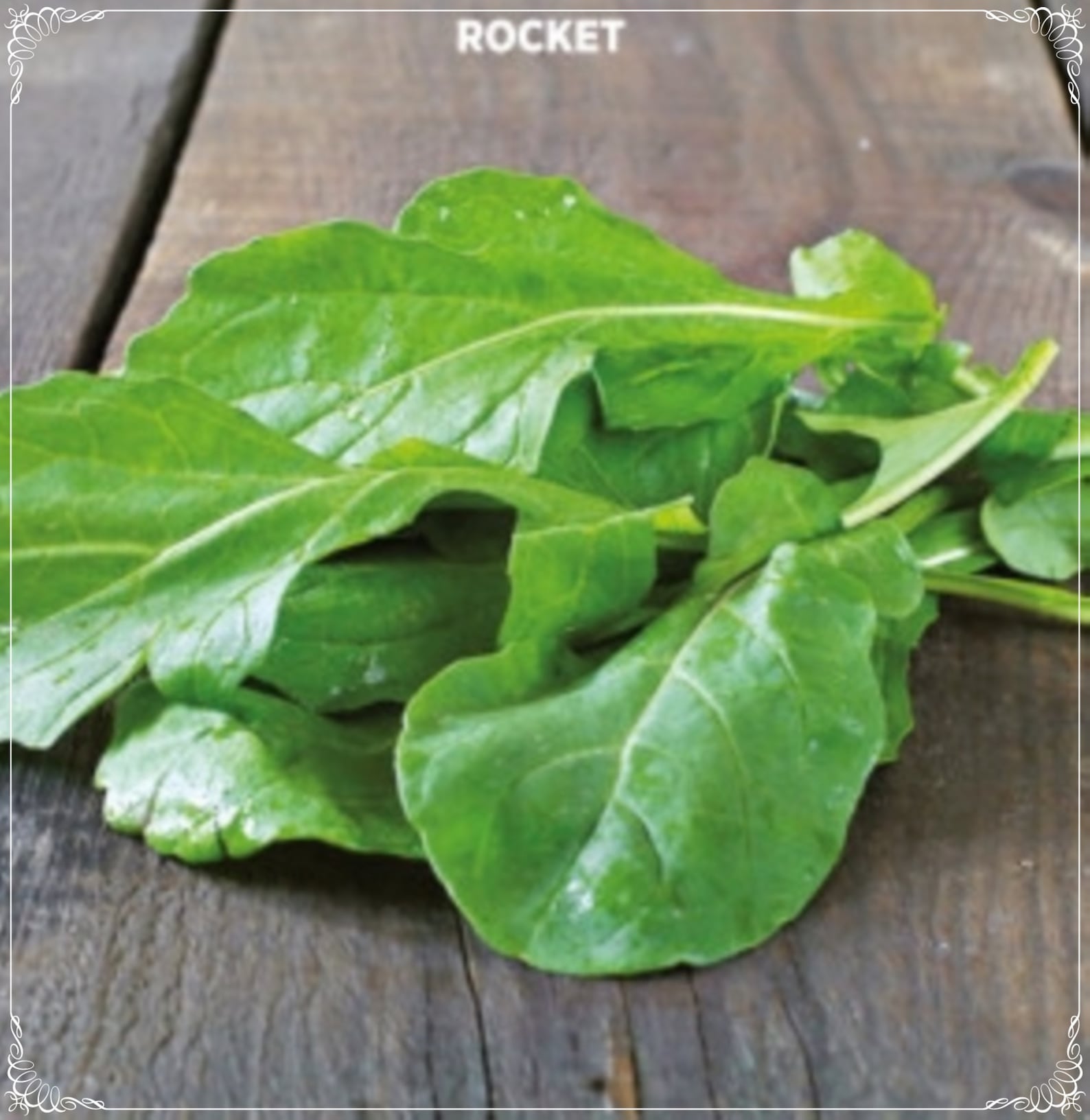 1000 Seeds Garden Rocket Seed, Vegetable Foliage, Natural Rucola ...