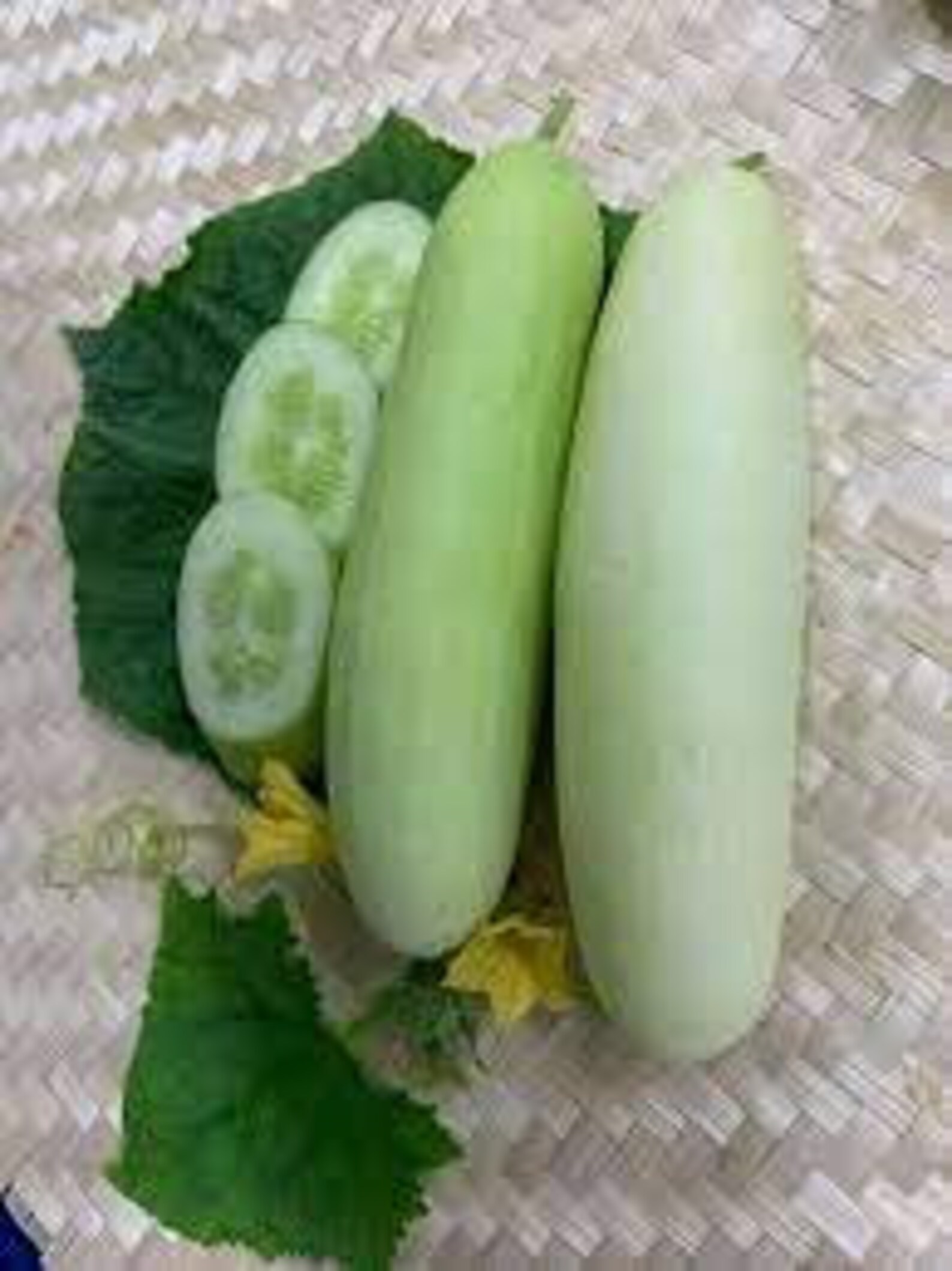 10 Seeds White Large Cucumber, Large Fruits, Sweet, Crisp, Delicious ...
