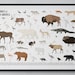 Animals of North America Poster - Etsy
