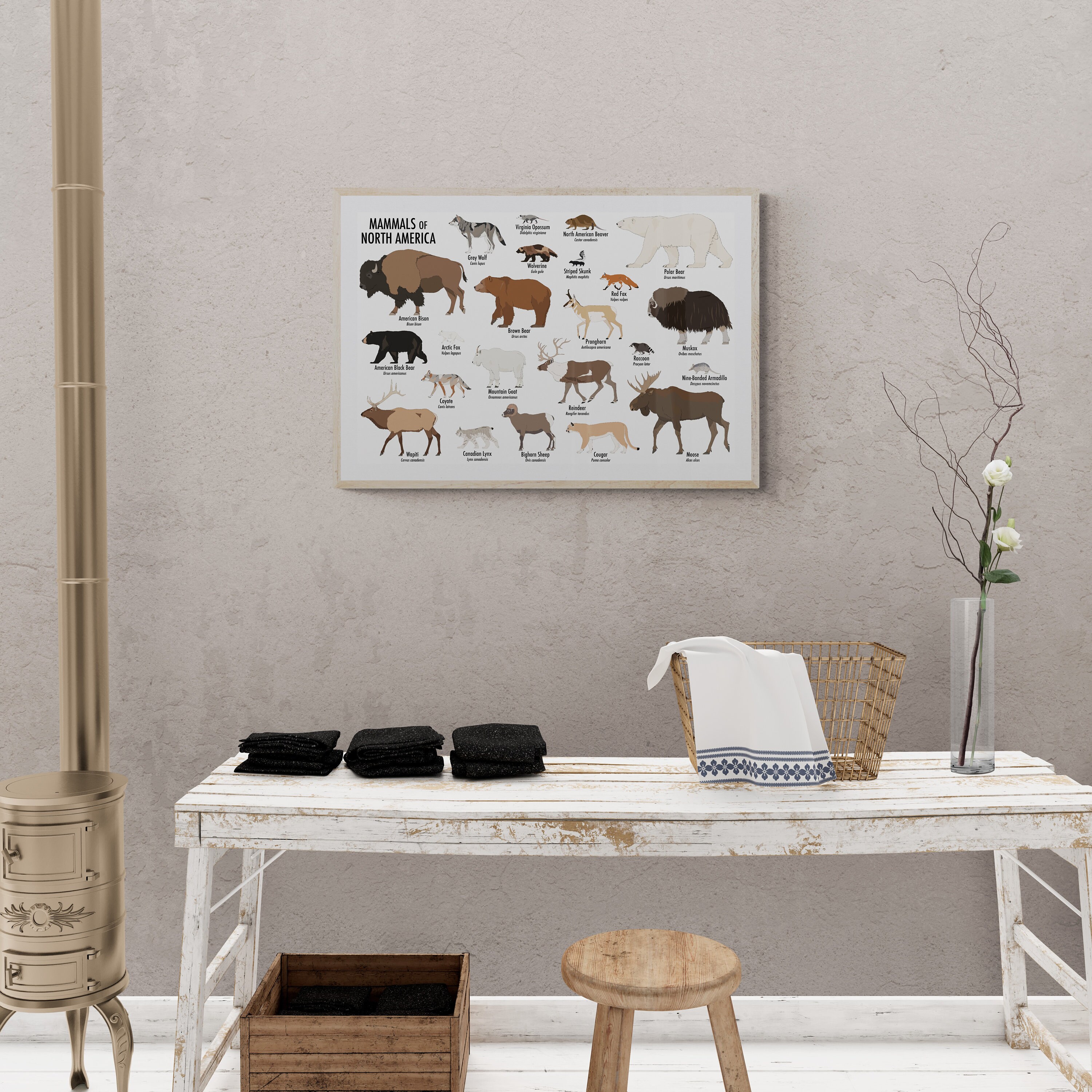 Mammals of North America Poster - Etsy