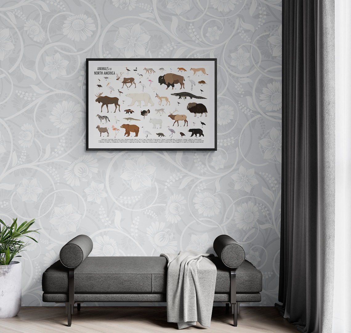 Animals of North America Poster - Etsy